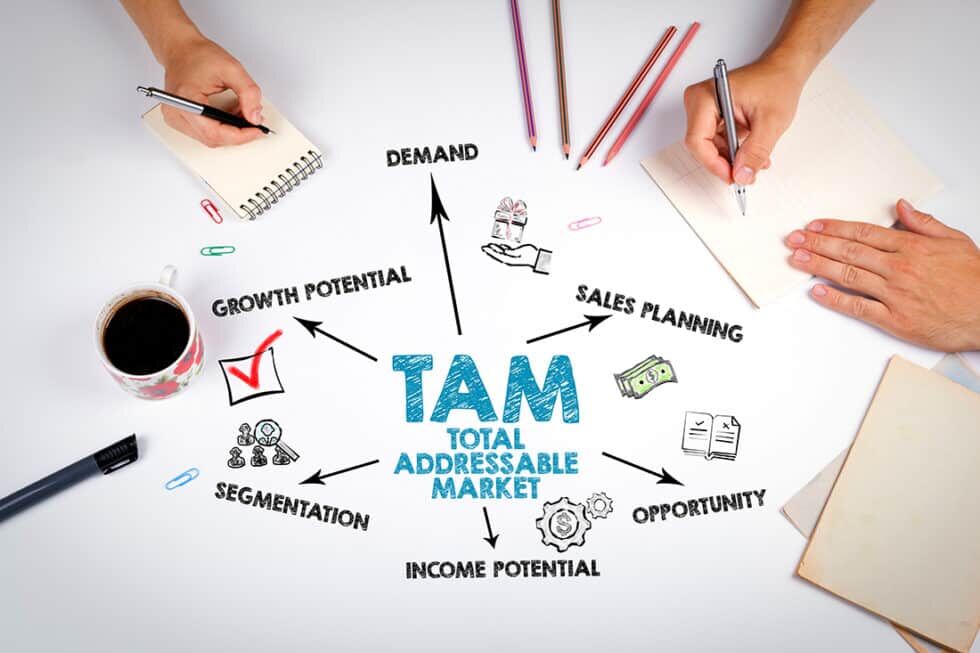 Understanding TAM and the Role of SEO